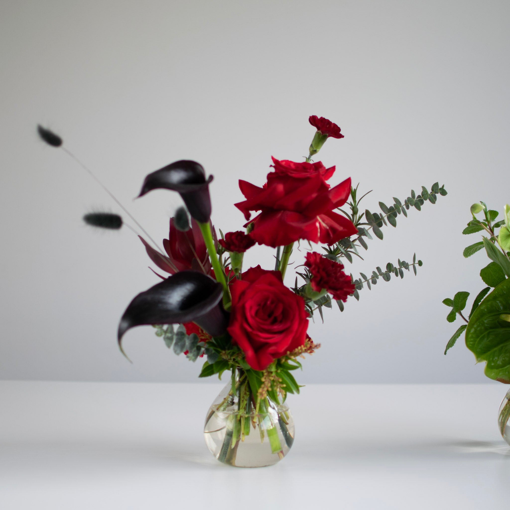 Wild North Flowers - Flower Delivery Toronto